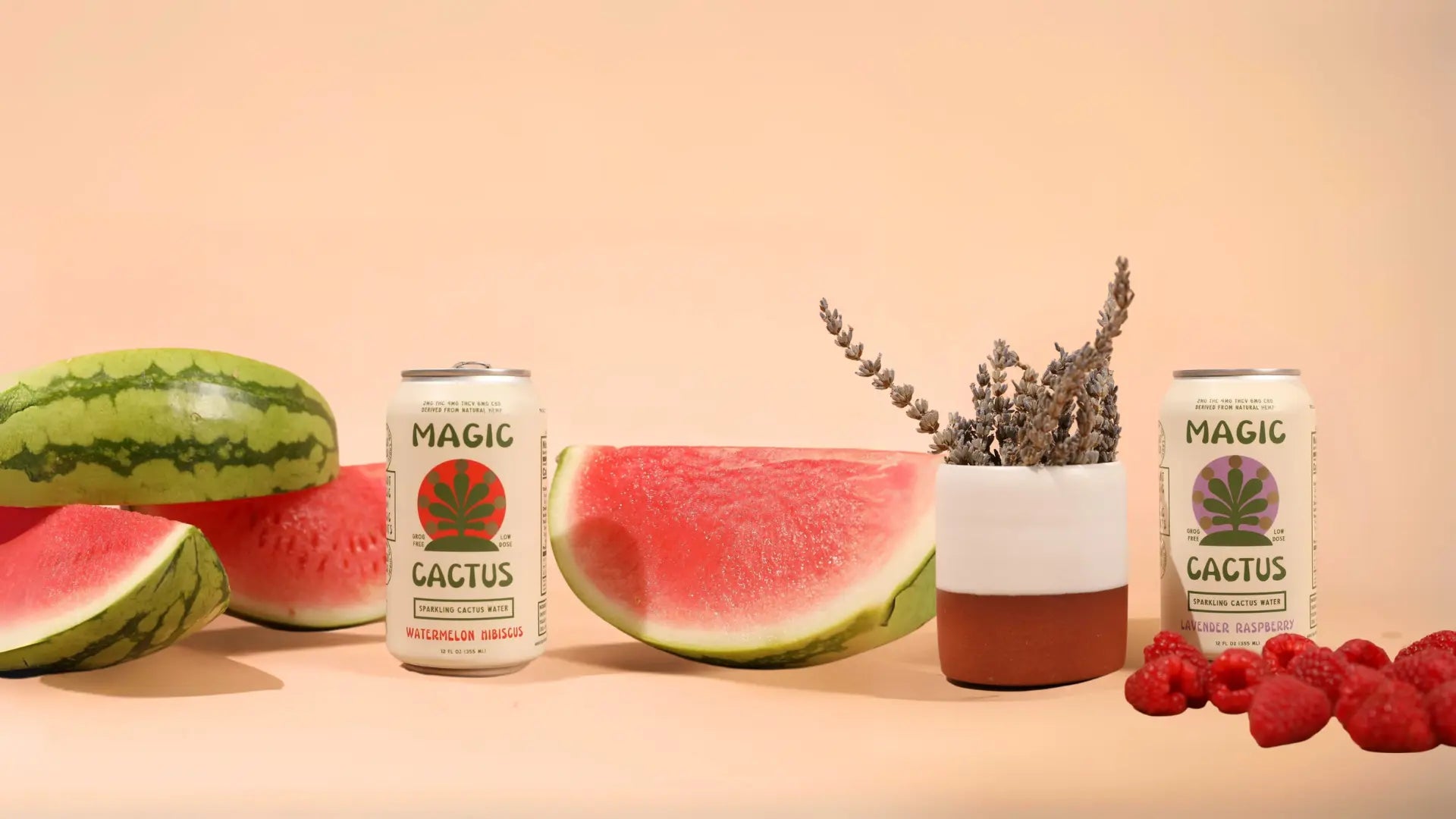 THE VARIETY PACK - MAGIC CACTUS