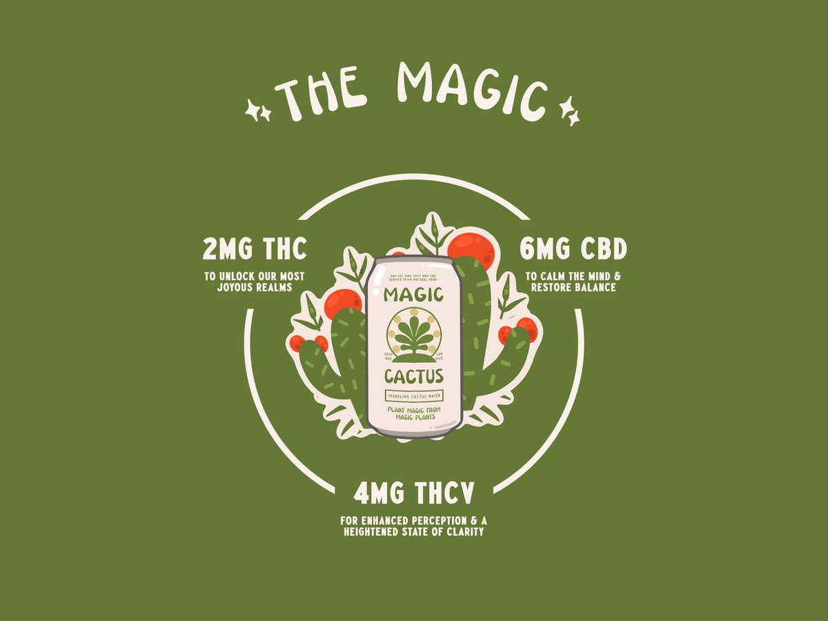 Buy Low Dose THC Drinks - THE VARIETY PACK - MAGIC CACTUS
