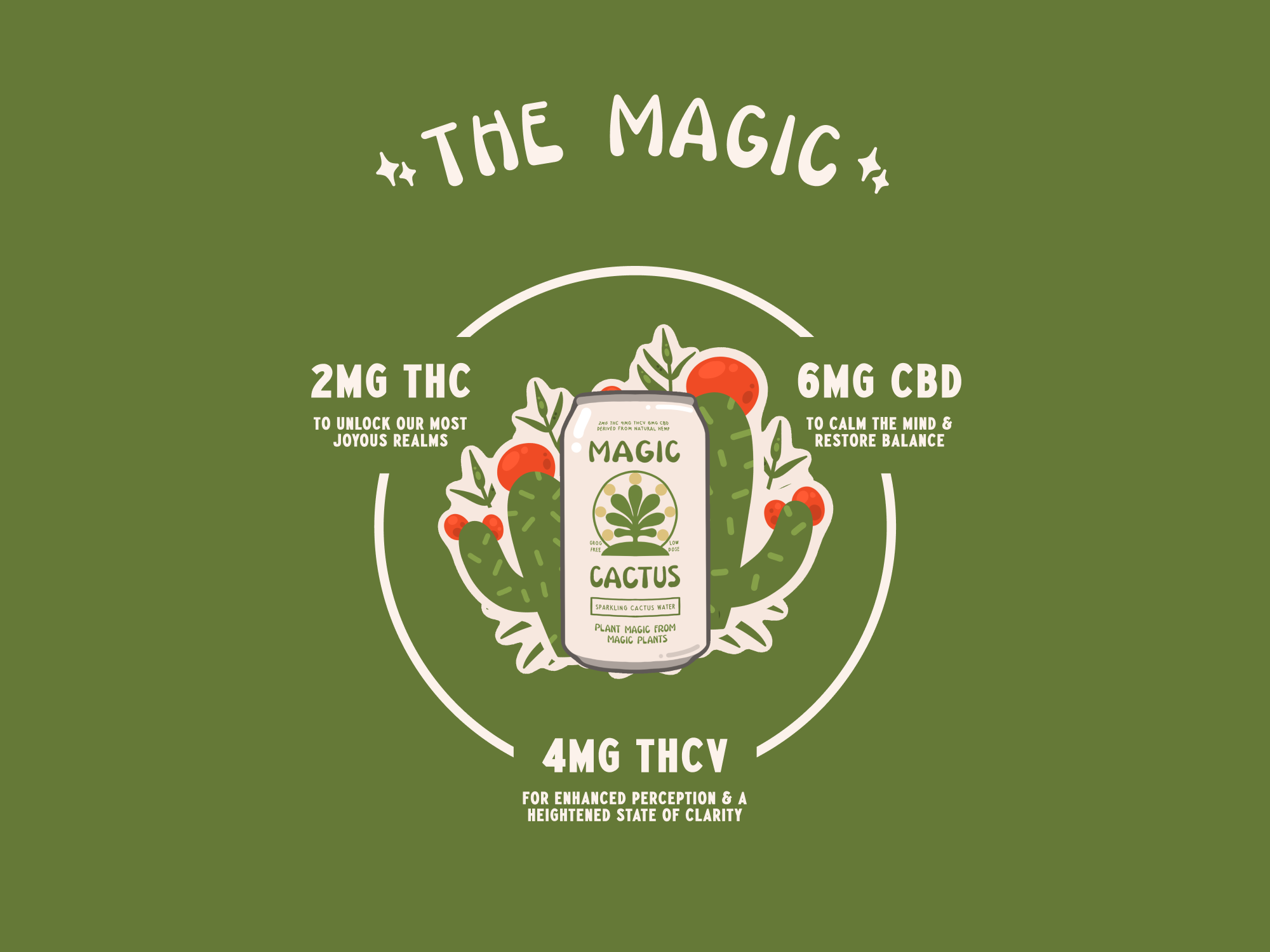 Buy Low Dose THC Drinks - THE VARIETY PACK - MAGIC CACTUS
